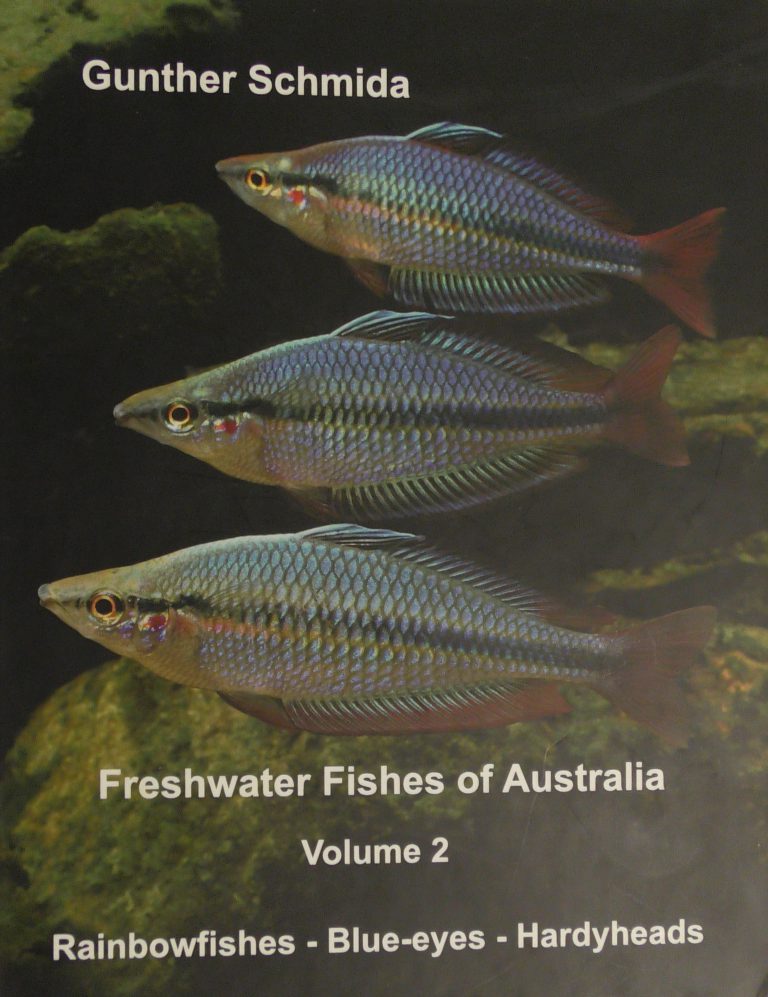 Rainbows - Aussie Fish Aquatics